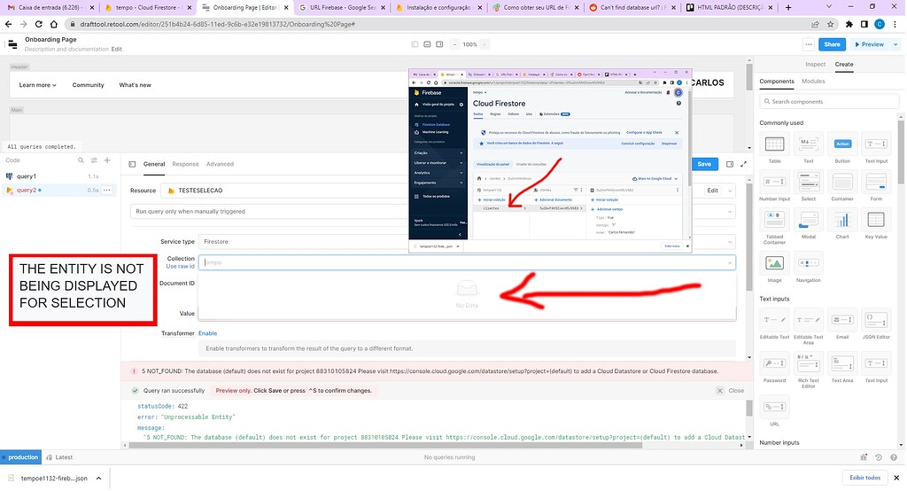 Conect Firebase The Entity Is Not Being Displayed For Selection Queries And Resources 1053